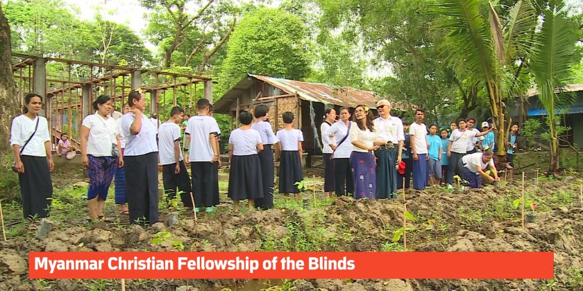 Tree planting activities: Myanmar Christian Fellowship of the Blinds | Myanmar International TV